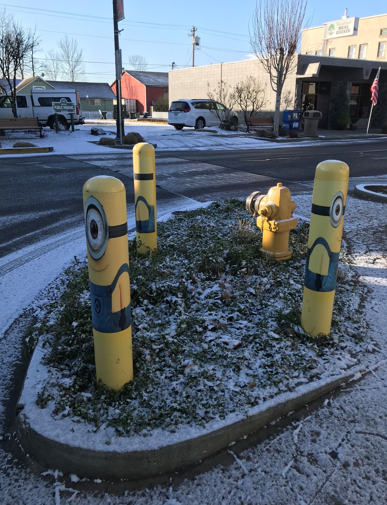 Woodland WA paint traffic bollards minions hydrant – SaveYour.Town